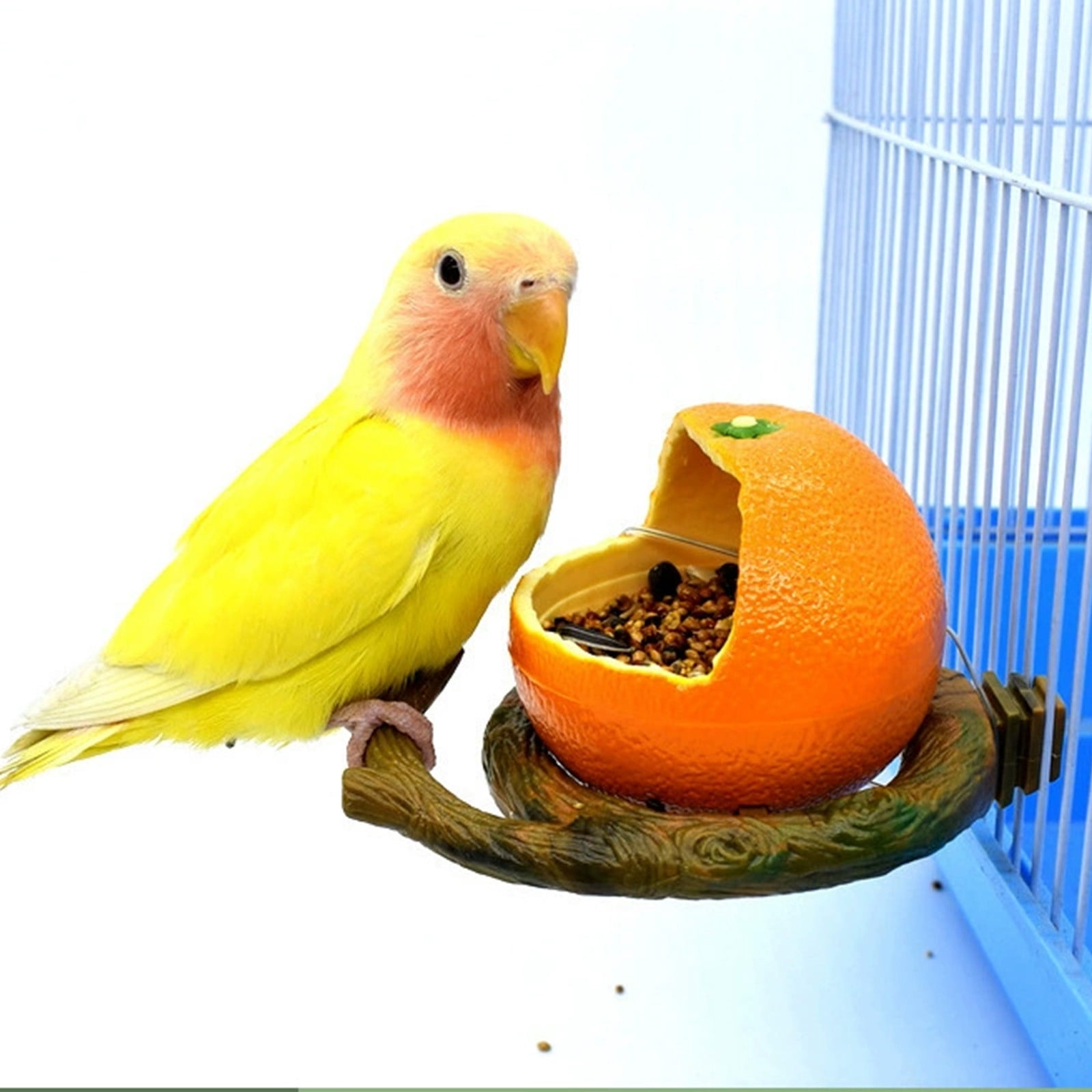 ToyKingdee Cage Feeding Box Spill Proof Plastic Feeder Peony Trough ...