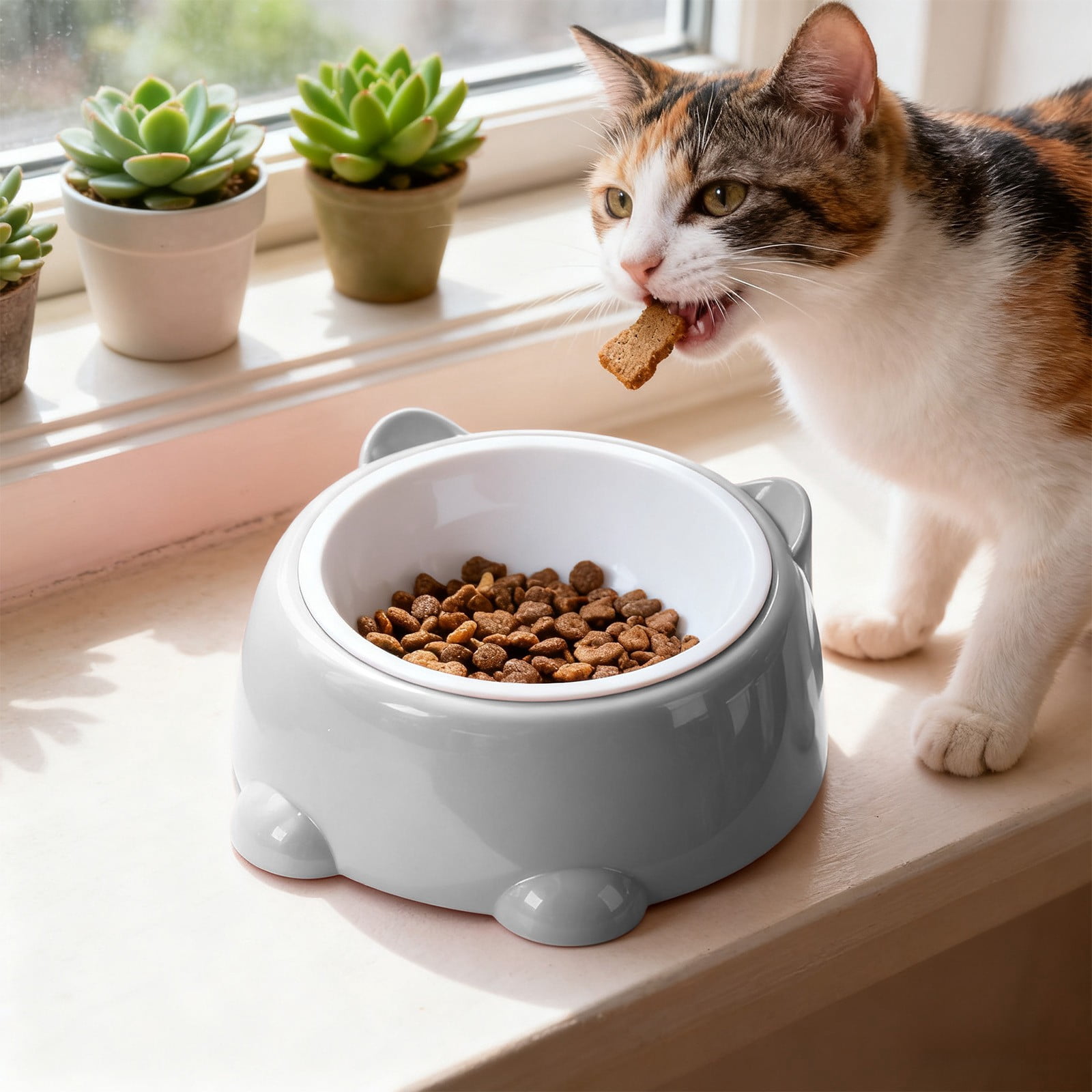 ToyKingdee Ceramic Elevated Cats Bowls, Wide Raised Cats Bowls, Shallow ...