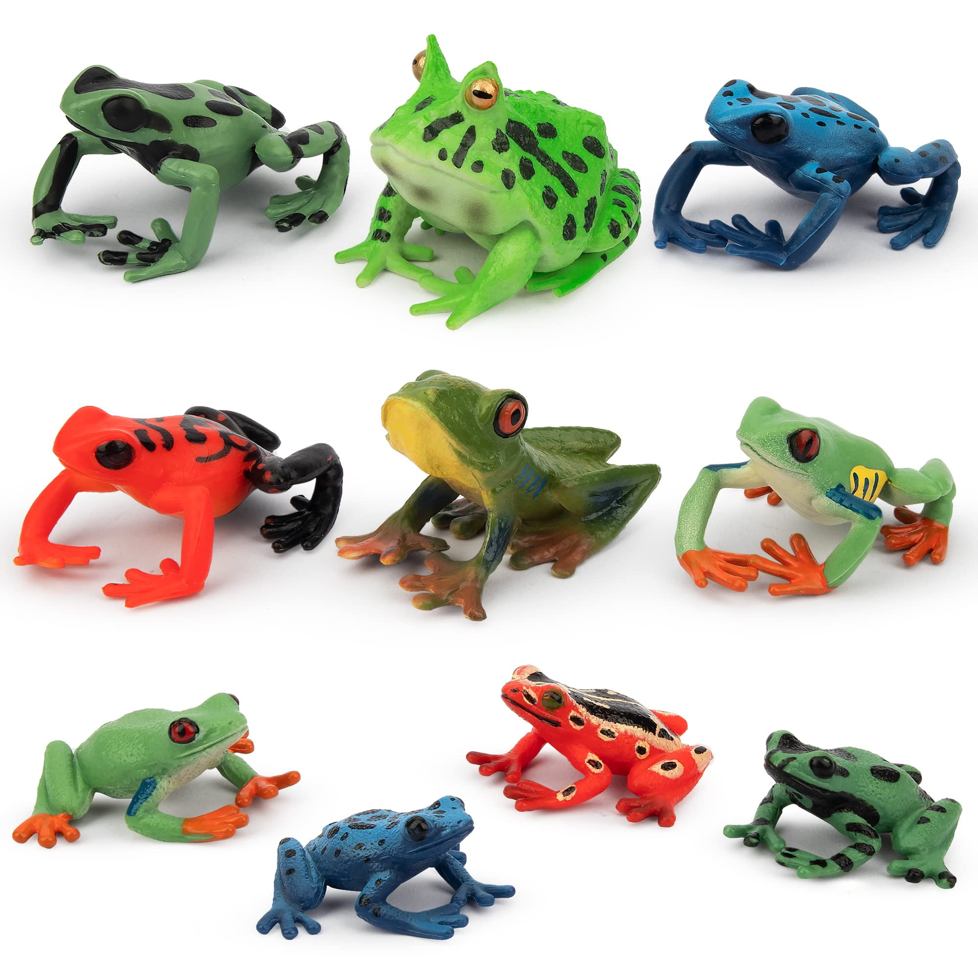 Toymany Frog Figures Forest Animal Figurines, 12PCS Plastic Rubber ...