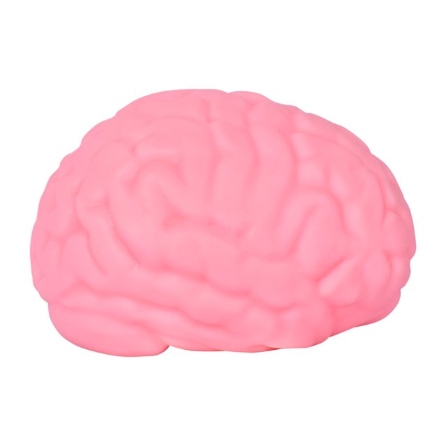 Toymendous Squeeze Brain Halloween Fidget Sensory Toy, 5’’ Large Stress ...