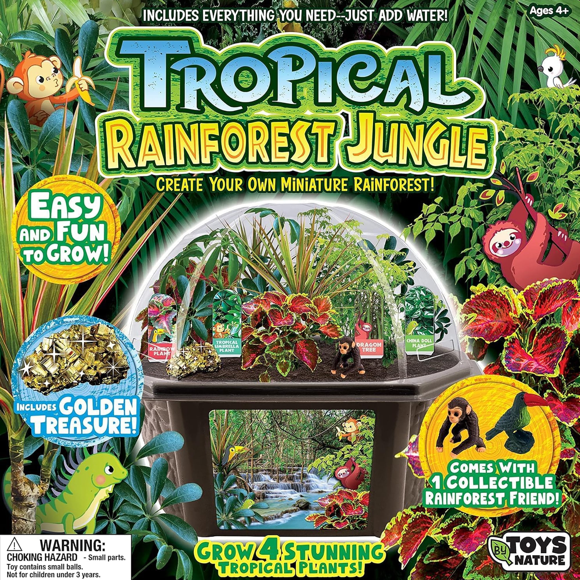 Toys By Nature: Tropical Rainforest Jungle - DIY Biosphere Terrarium ...