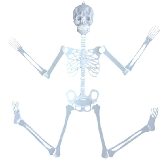 Toys 32Cm Luminous Skull Skeleton Body Scary Halloween Toy Haunted ...