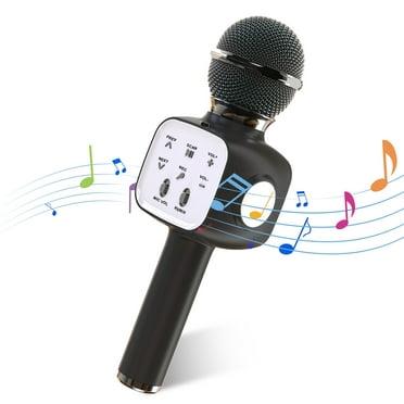 Gabby's Dollhouse Sing-Along Microphone with Built-In Music from the ...