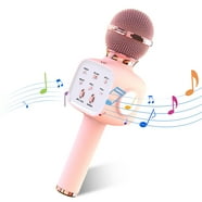 Gabby's Dollhouse Sing-Along Microphone with Built-In Music from the ...