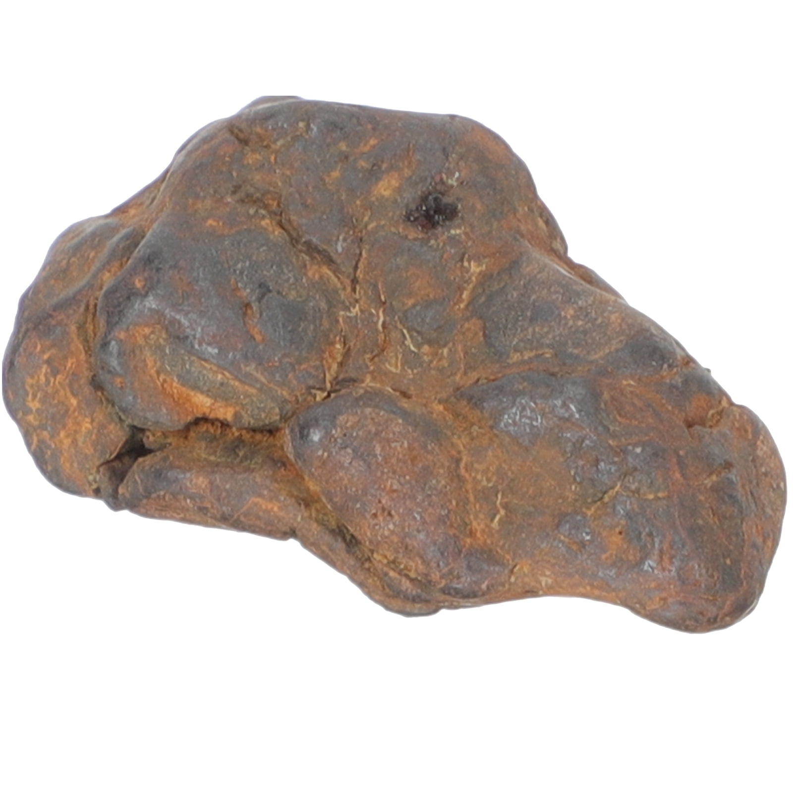 Toys Meteorite Sample Wall Mirrors Decorative Meteorite Adornment ...