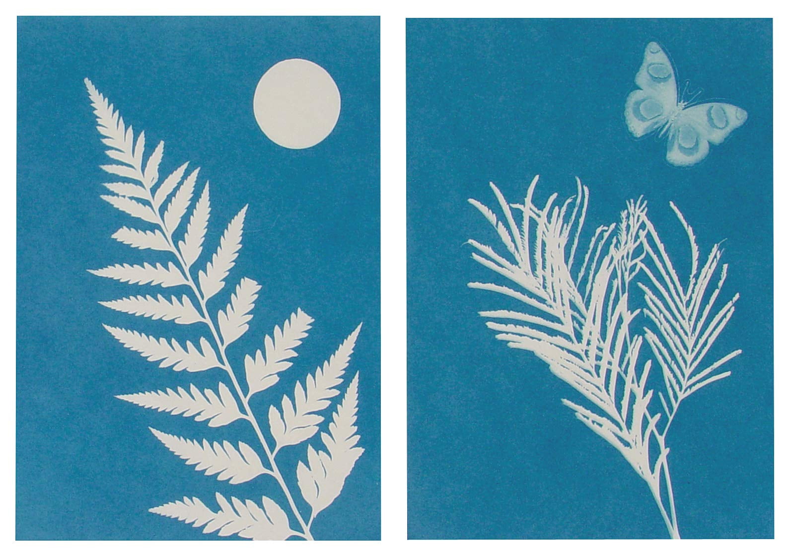 Toysmith Outdoor Discovery, Solar Print Paper, Refill for Solar Print ...