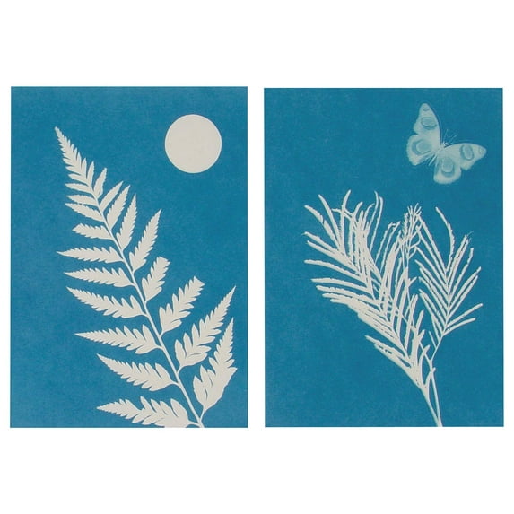 Toysmith Outdoor Discovery, Solar Print Paper, Refill for Solar Print ...