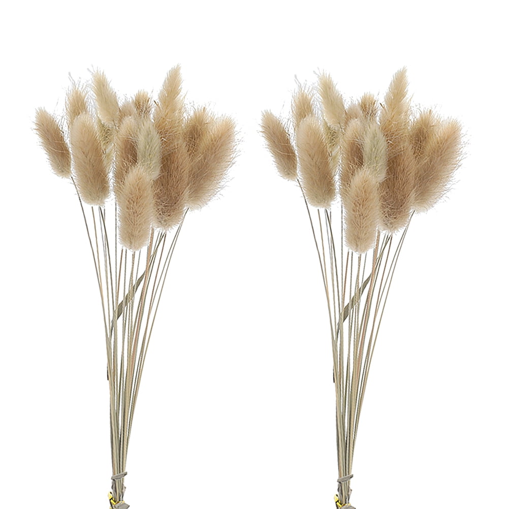 Toyvian 2 Bundles Dried Flowers and Grass Pennisetum Rabbit Tail Wheat ...