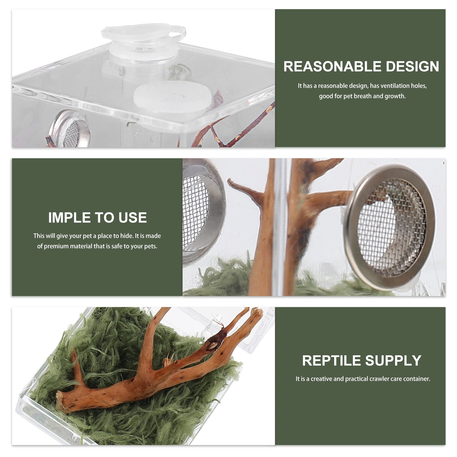 2 Set Spider Habitat Box Small Pet Breeding Container Jumping Spider ...