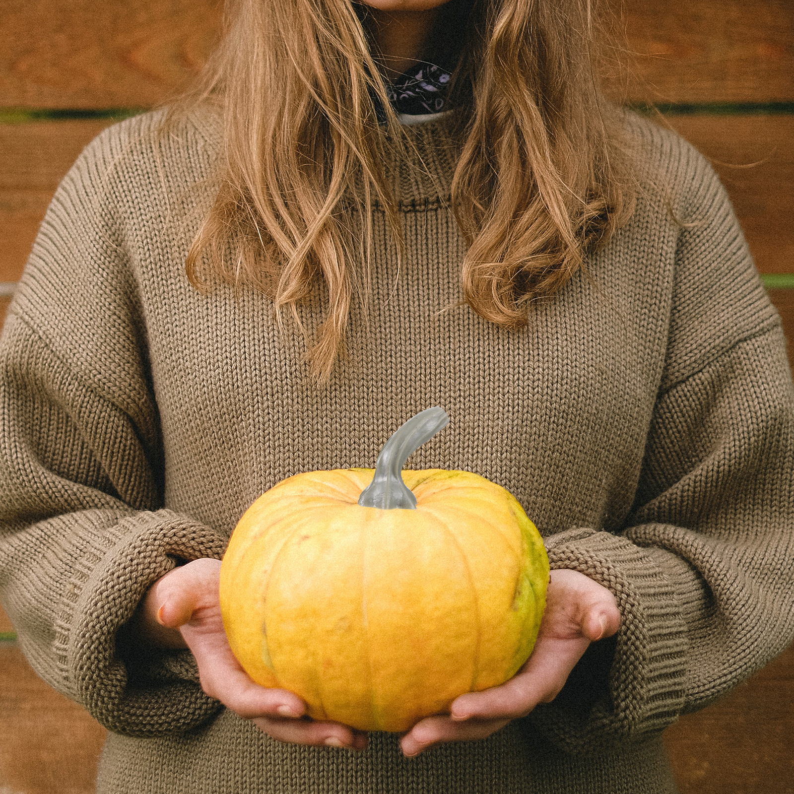 Toyvian 24pcs Pumpkin Stem Pumpkin DIY Handle Harvest Plastic Pumpkin ...