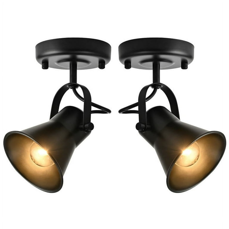 Multi Directional Indoor Wall Mount Light