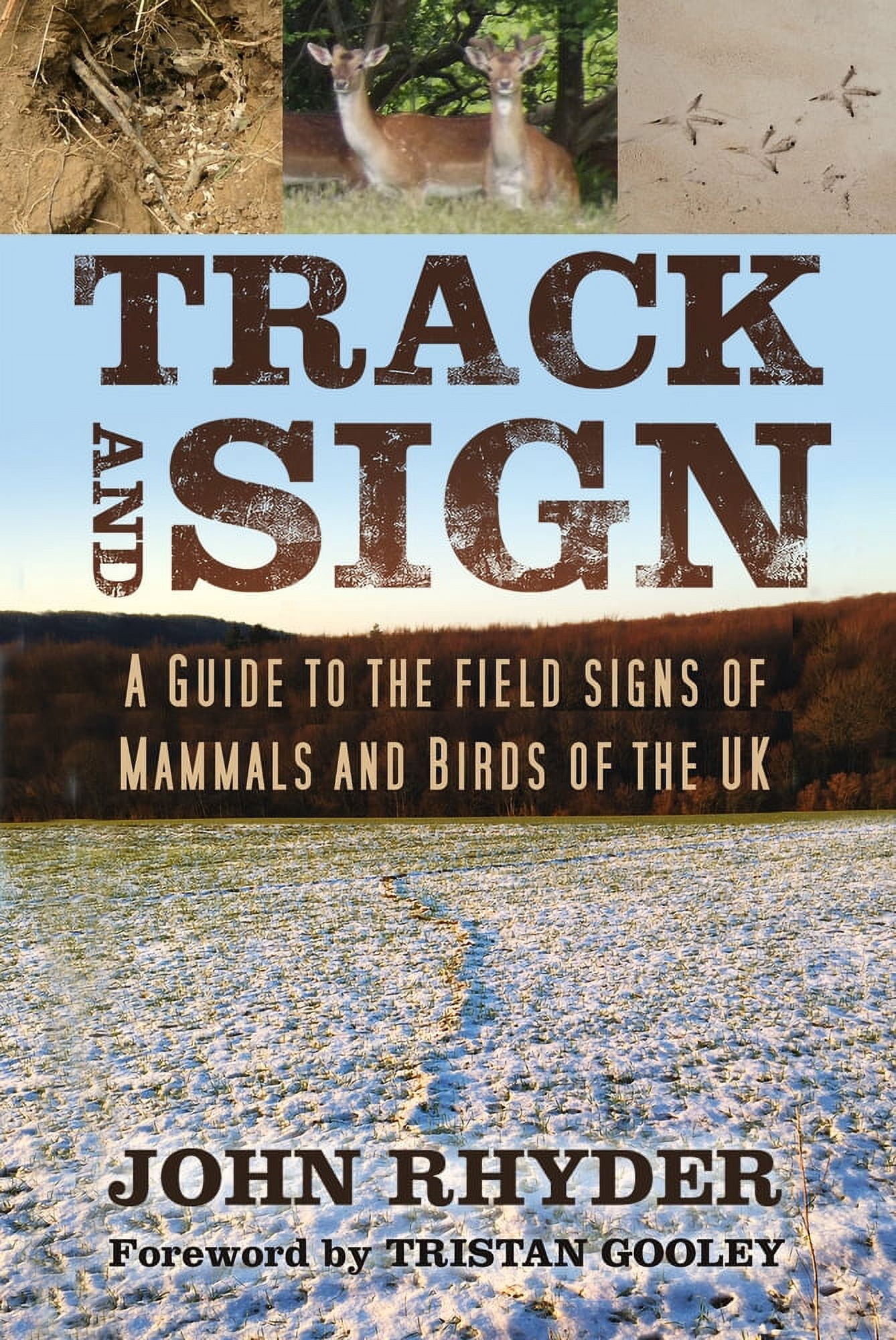 Track and Sign : A Guide to the Field Signs of Mammals and Birds of the ...