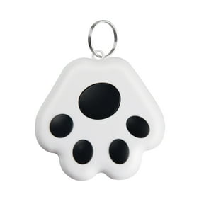 Bluetooth Anti-Lost Alarms and Trackers for Keys Pets and More