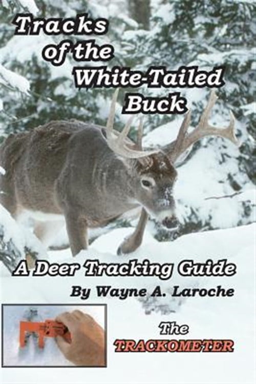 Tracking Whitetail Deer