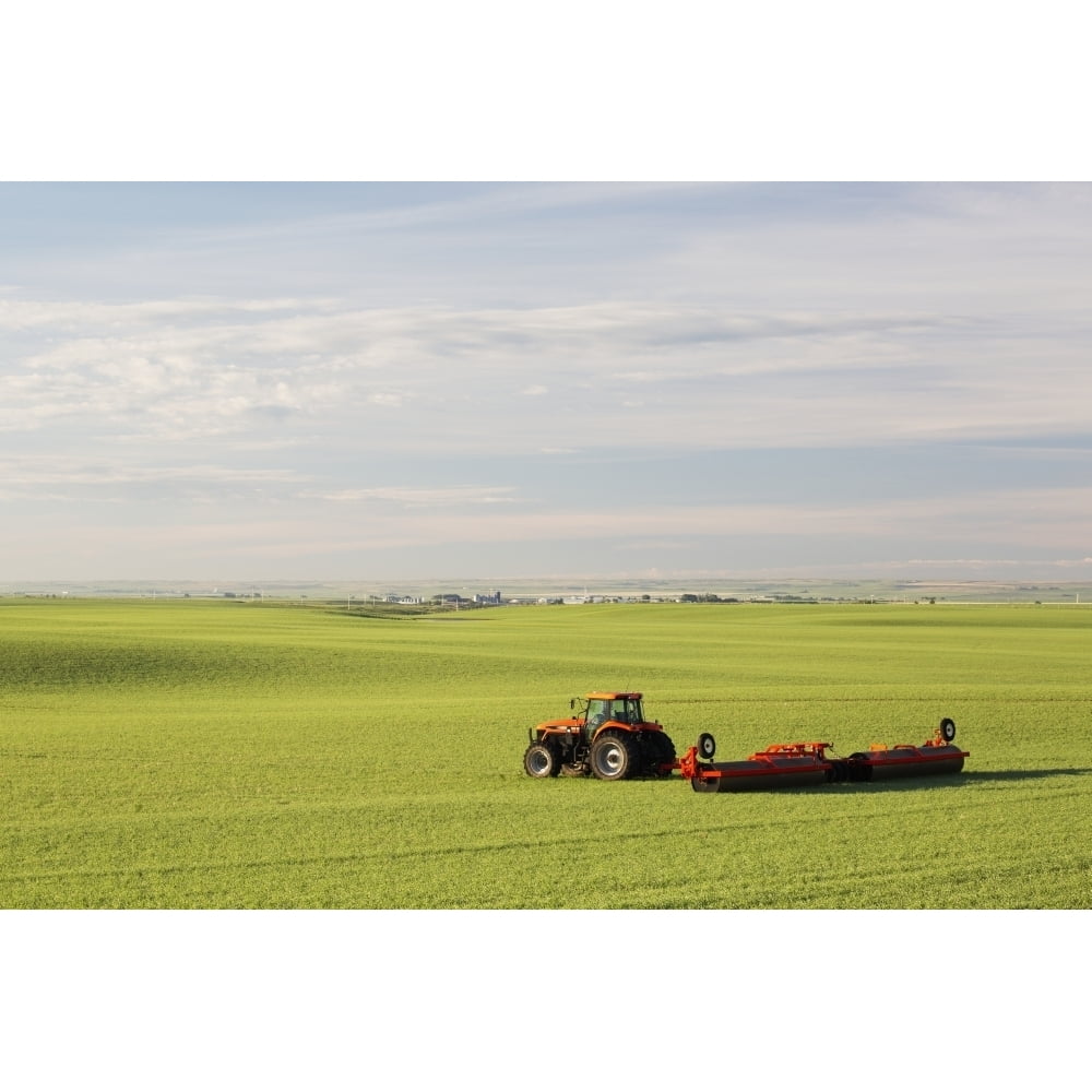 Tractor and land roller in an early growth cereal grain field Land ...