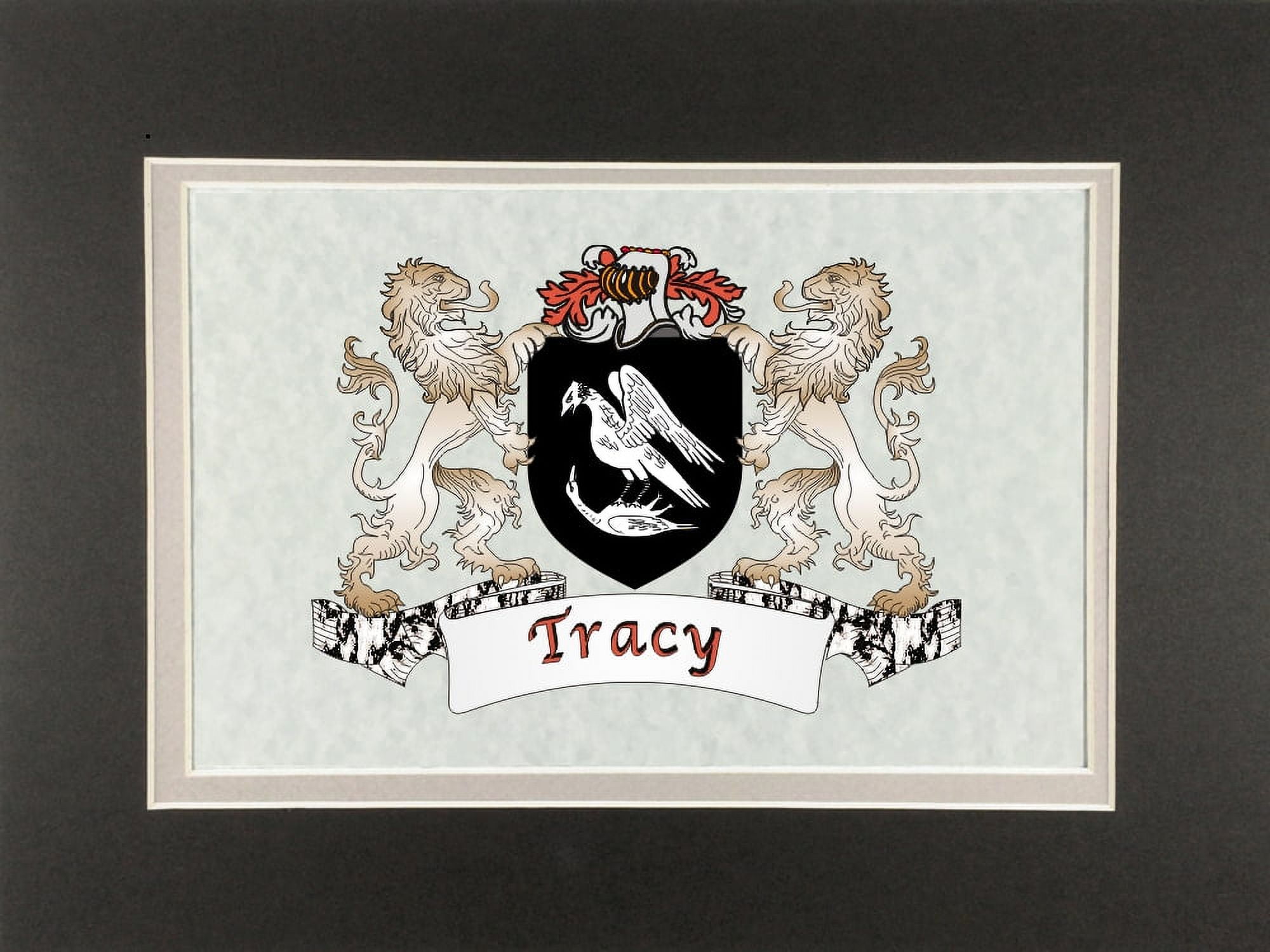Tracy Irish Coat of Arms Print - Frameable 9" x 12" - Walmart.com