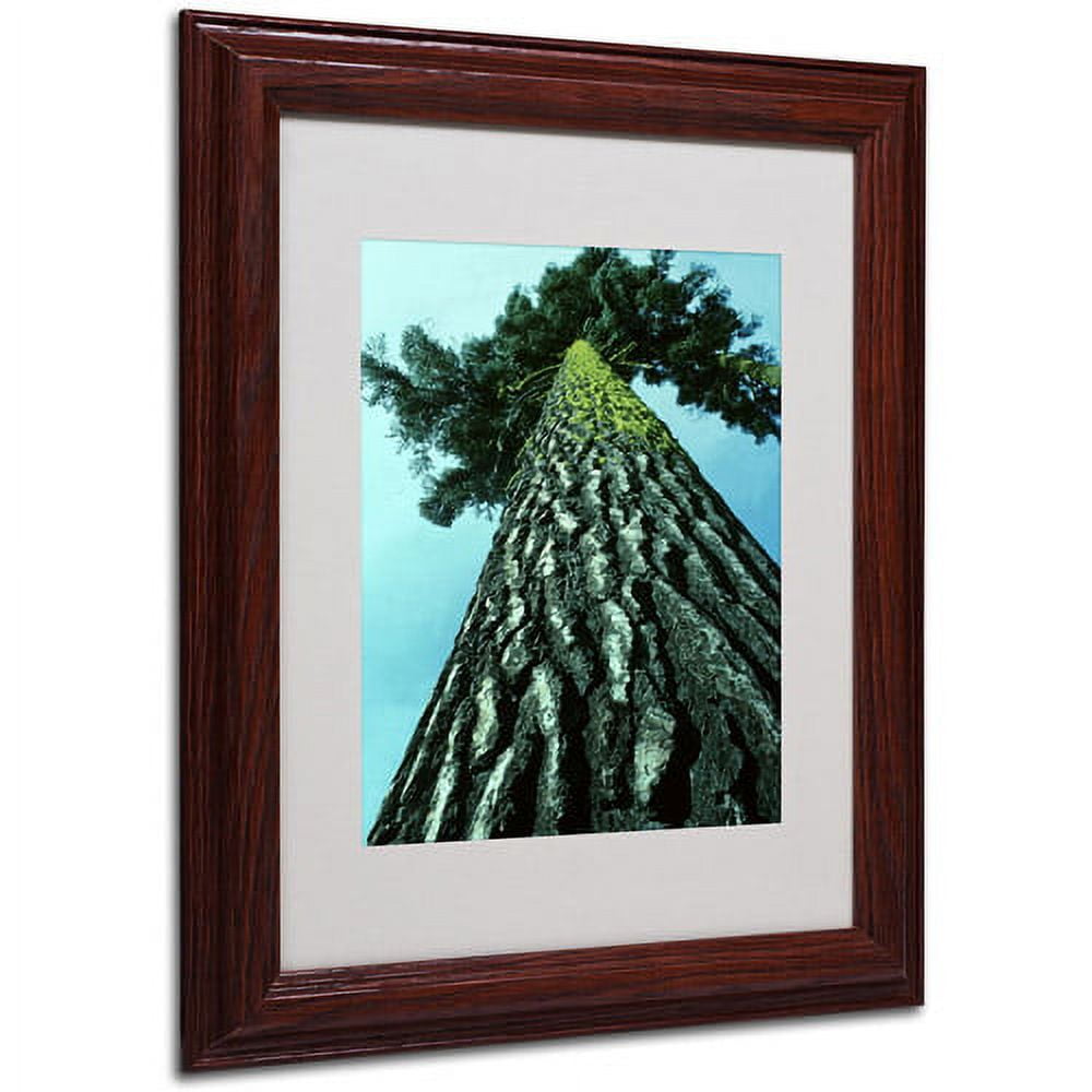 Trademark Art 'A Tree of Life' Framed Matted Art by Kurt Shaffer ...