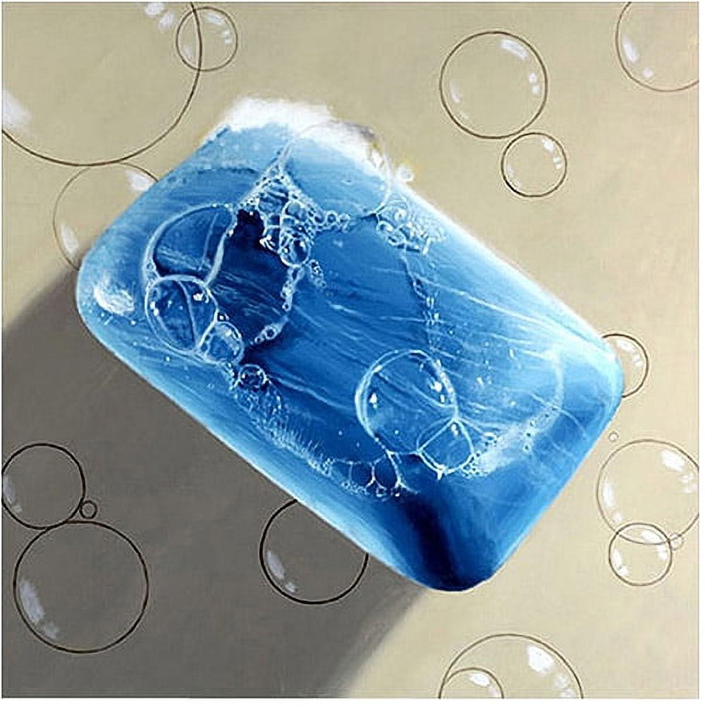 Trademark Bar Soap Canvas Art by Roderick Stevens, Ready to Hang ...