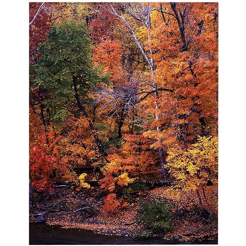 Trademark Art "I love Autumn" Canvas Art by Kurt Shaffer, 18x24 ...