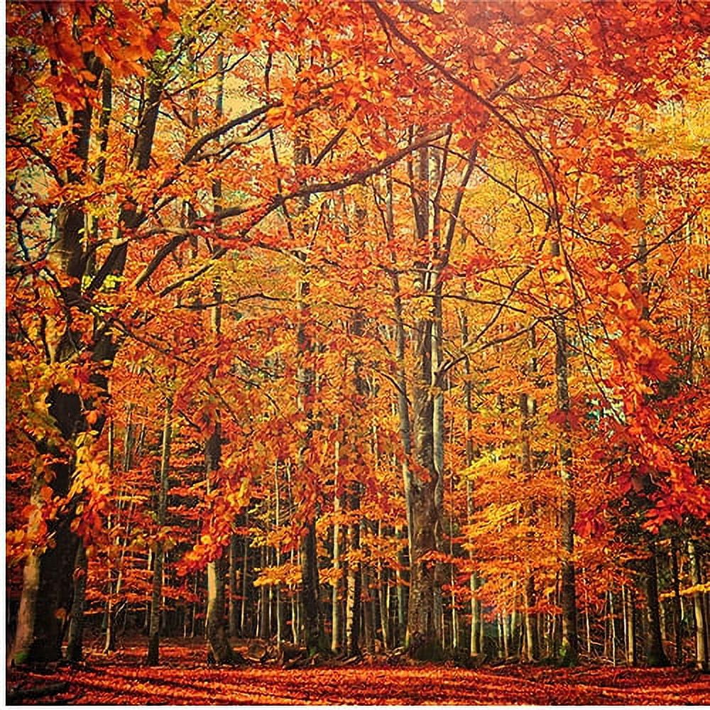 Trademark Art "Red November" Canvas Wall Art by Philippe Sainte-Laudy ...