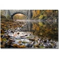 Trademark Art "Stream of Life" Canvas Wall Art by CATeyes - Walmart.com