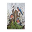 Trademark Fine Art 'Eastern Bluebird Duo' Canvas Art by Carol J Rupp ...