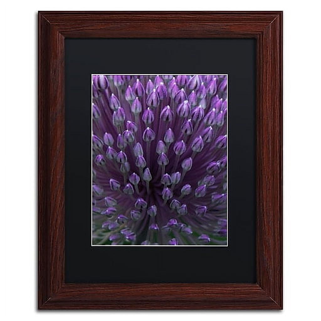 Trademark Fine Art "Alien Flower Pods" Canvas Art by Kurt Shaffer ...