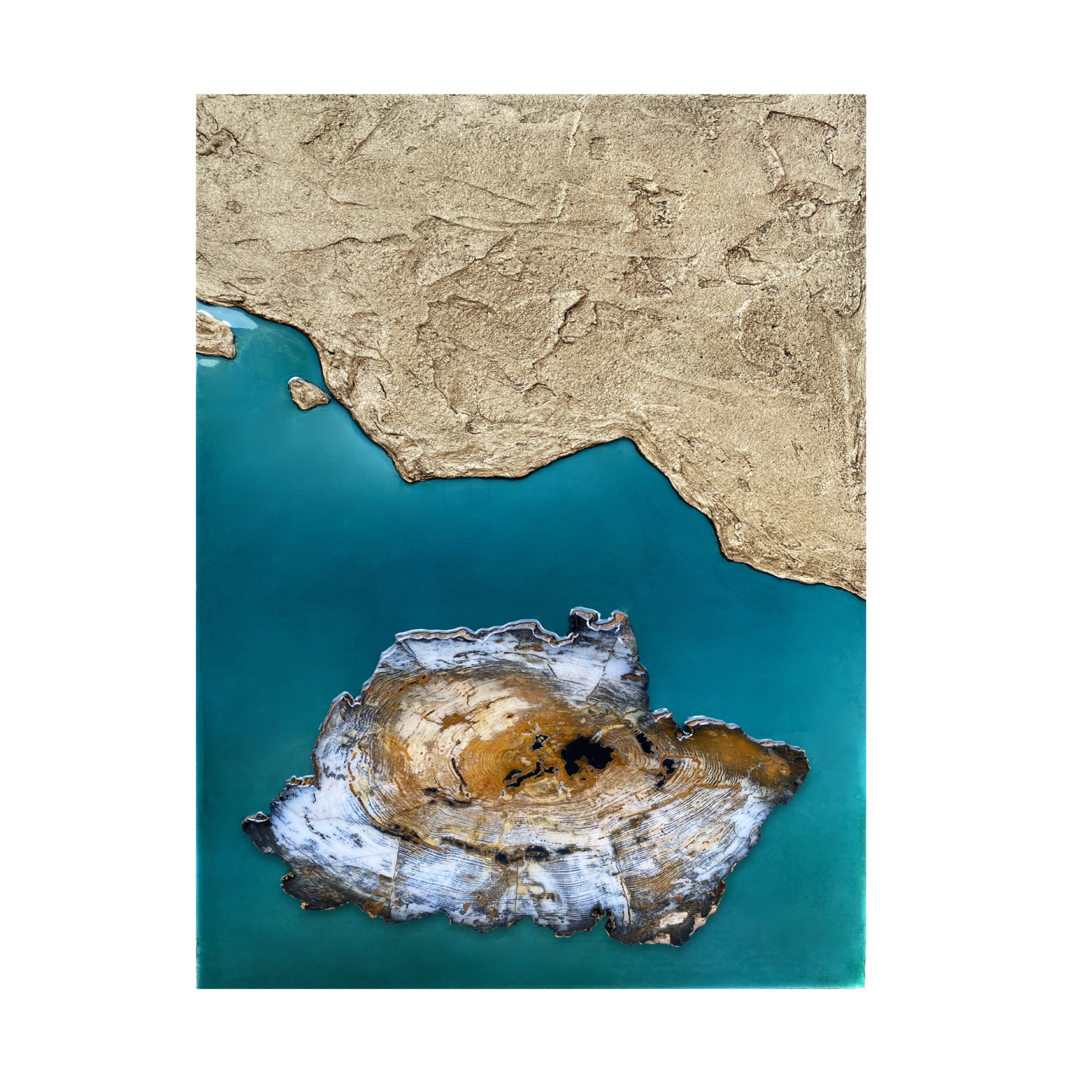 Trademark Fine Art Alyson Storms Elemental Earth Canvas Wall Art ...
