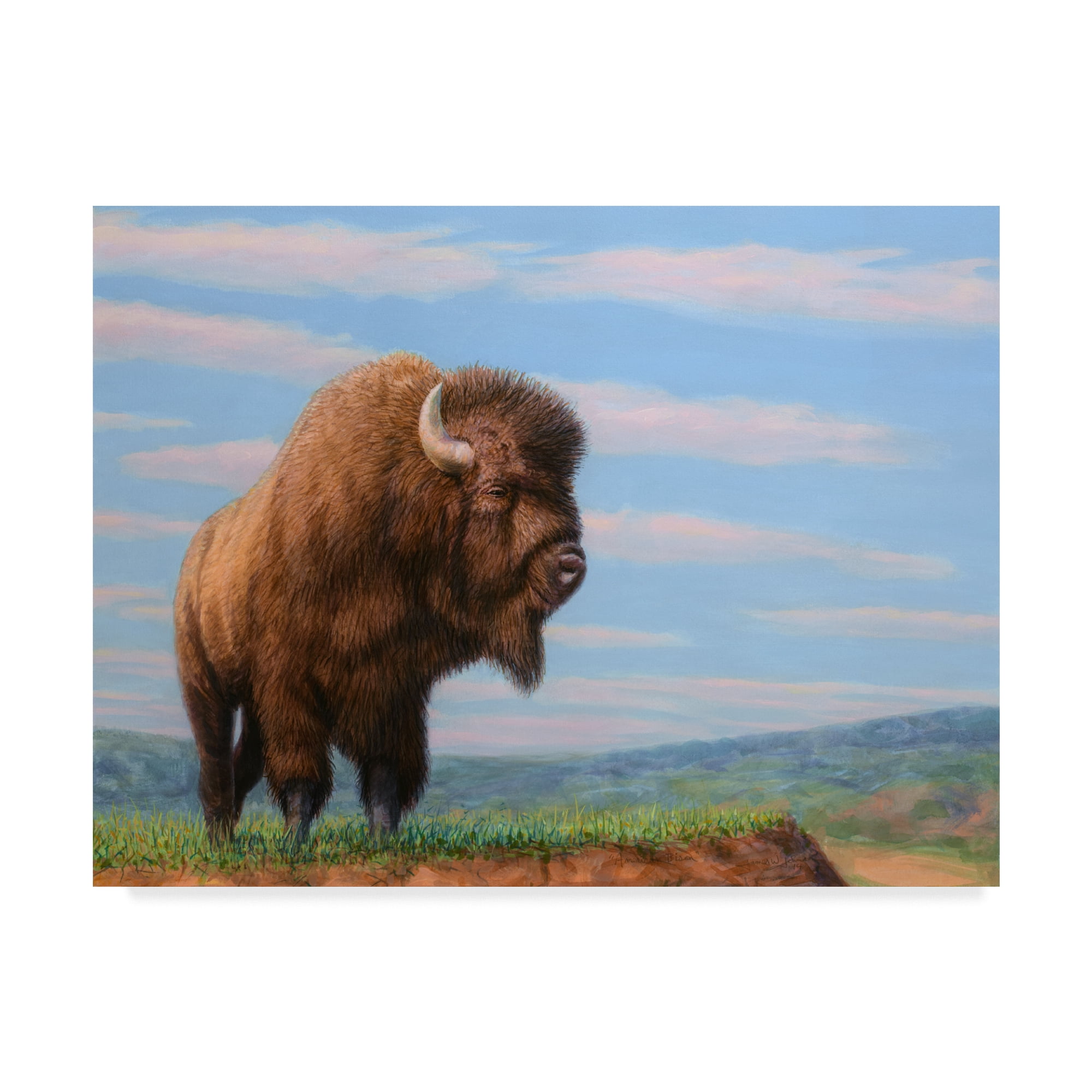 Trademark Fine Art 'American Bison' Canvas Art by James W. Johnson ...