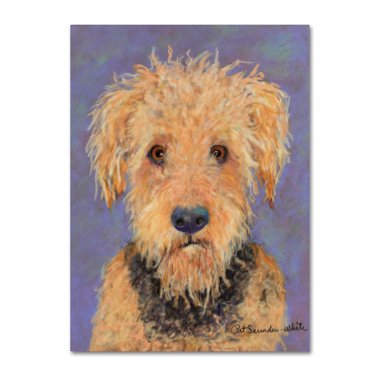 Trademark Fine Art "Gus" Canvas Art by Pat Saunders - Walmart.com