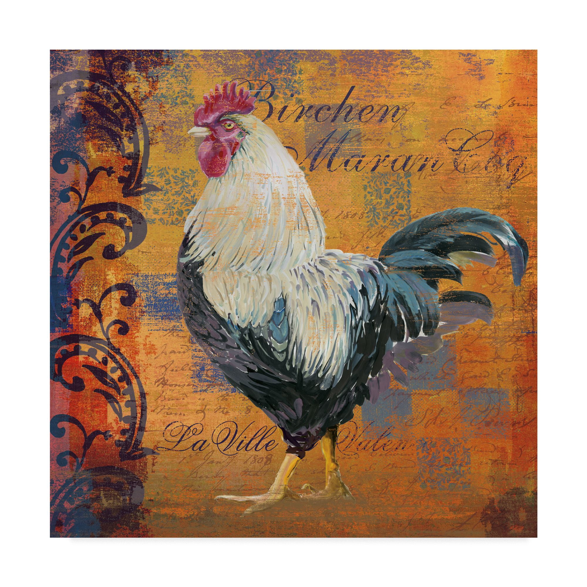 Trademark Fine Art Animals Canvas Art ' White And Black Coq Motif ' by ...