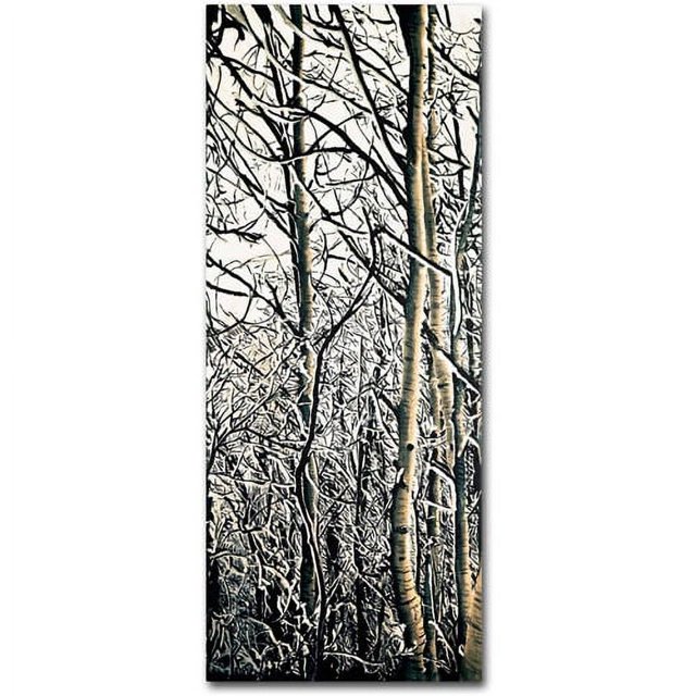 Trademark Fine Art "Aspen Winter Panel 01" Canvas Art by Roderick ...
