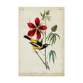 Free Shipping! Trademark Fine Art Audubon Bird and Botanical I Canvas ...