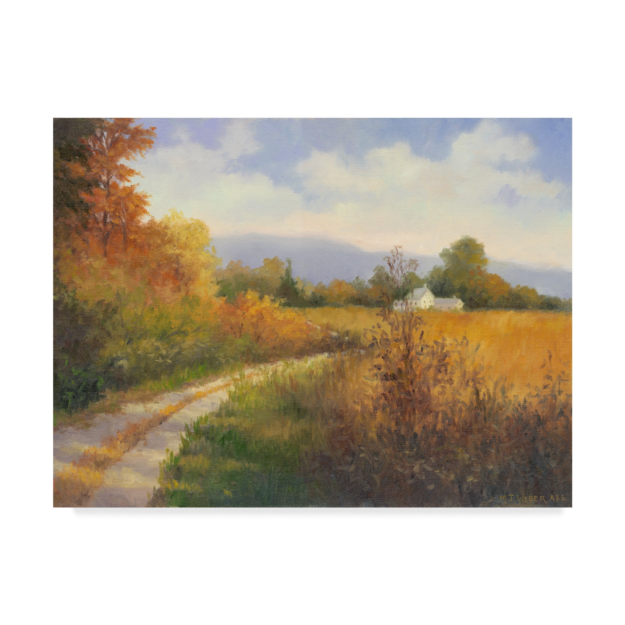 Trademark Fine Art 'Autumn Country Road' Canvas Art by Mary Jean Weber ...