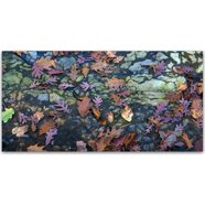 Trademark Fine Art "Ohio Autumn" Canvas Wall Art by Kurt Shaffer ...