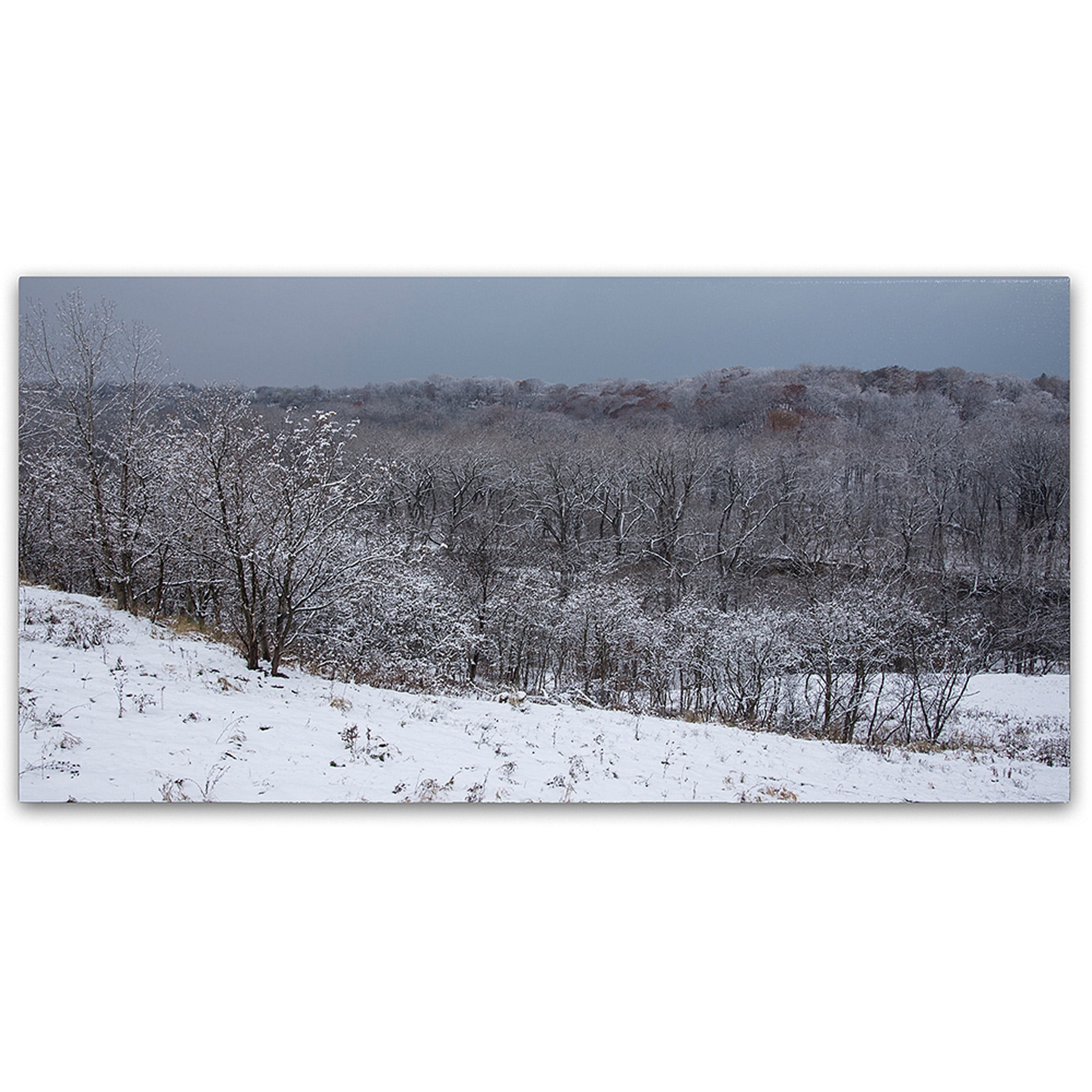 Trademark Fine Art "Autumn Snowfall" Canvas Art by Kurt Shaffer ...