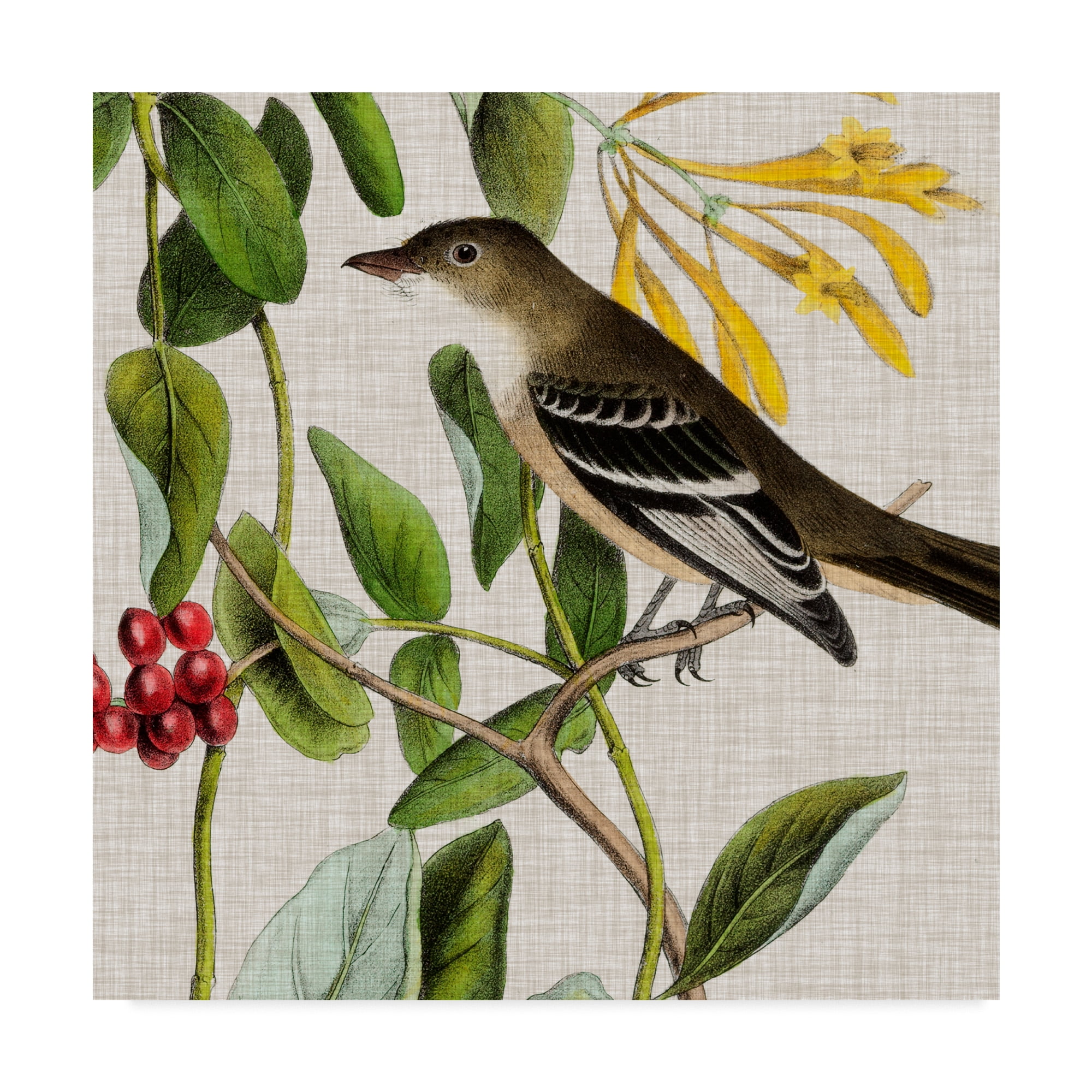 Trademark Fine Art 'Avian Crop II' Canvas Art by John James Audubon ...