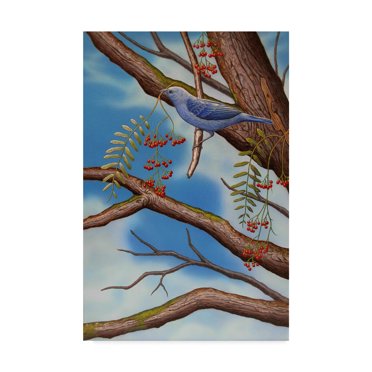 Trademark Fine Art 'Watermelon Bird' Canvas Art by Daniel Patrick ...