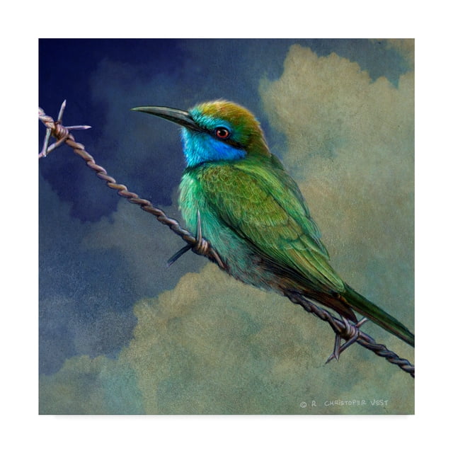 Trademark Fine Art 'Bee Eater' Canvas Art by Chris Vest - Walmart.com