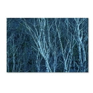 Trademark Fine Art 'Sunny Stag' Canvas Art by Robert Farkas - Walmart.com