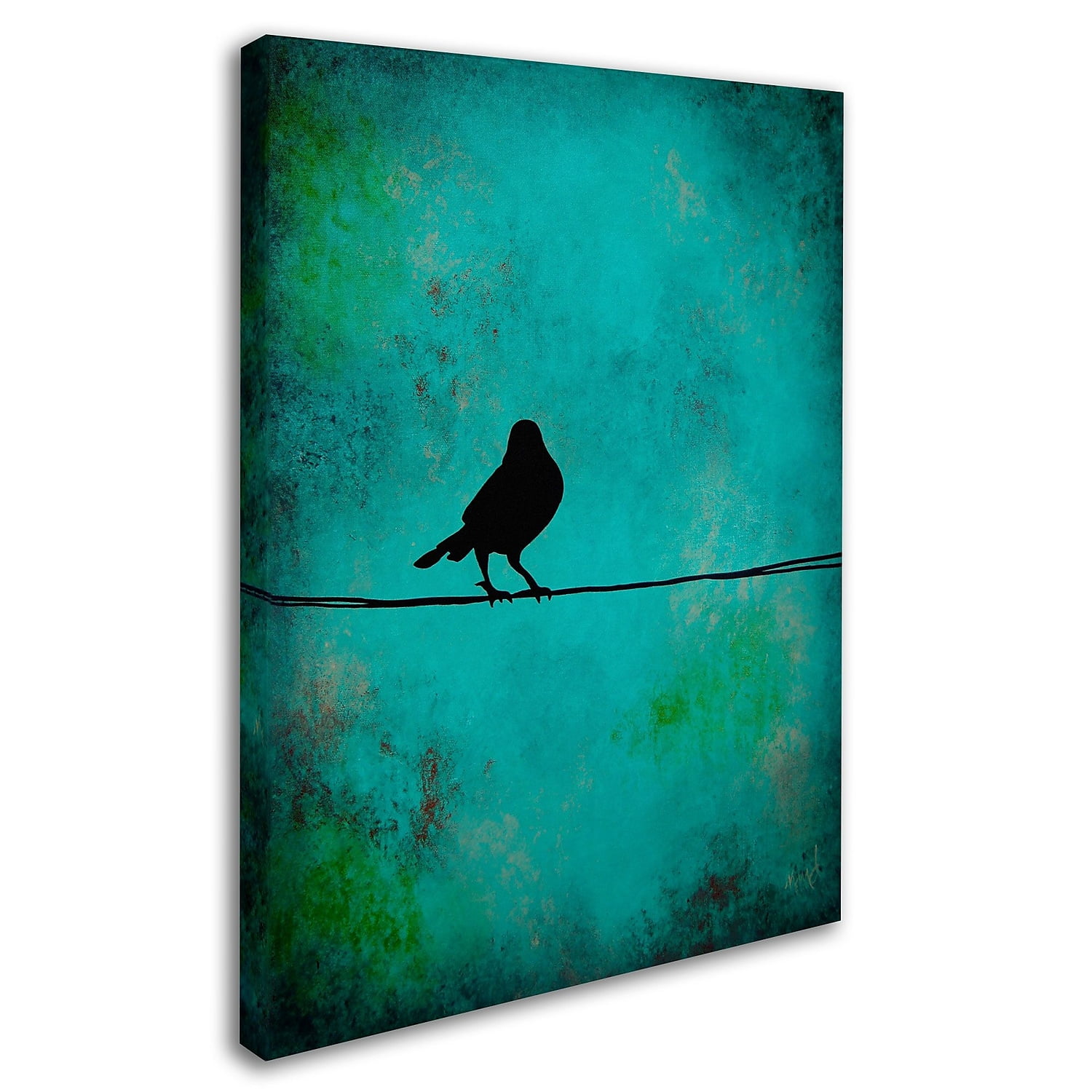 Trademark Fine Art "Bird's Attention" Canvas Art by Nicole Dietz ...