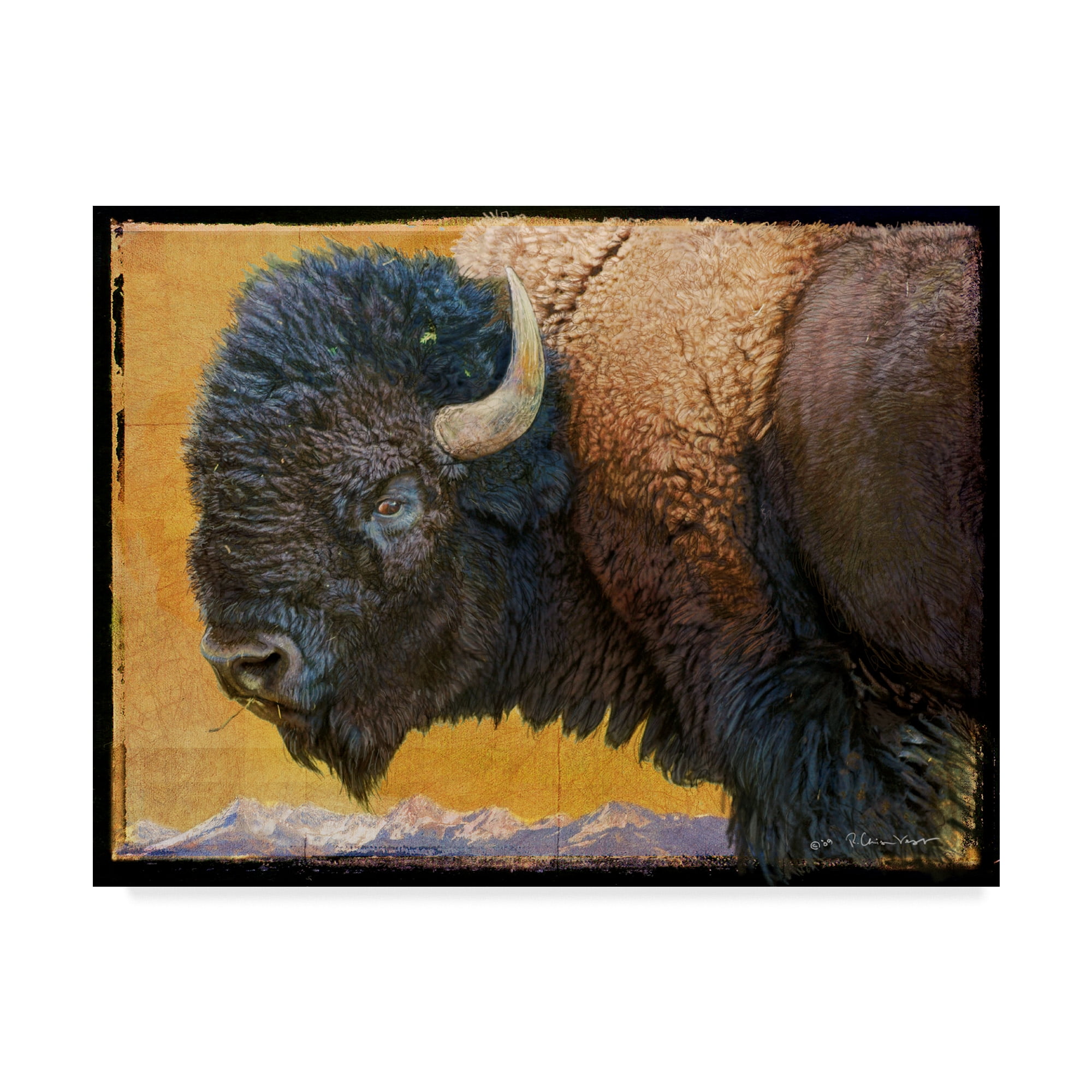 Trademark Fine Art 'Bison Portrait III' Canvas Art by Chris Vest ...
