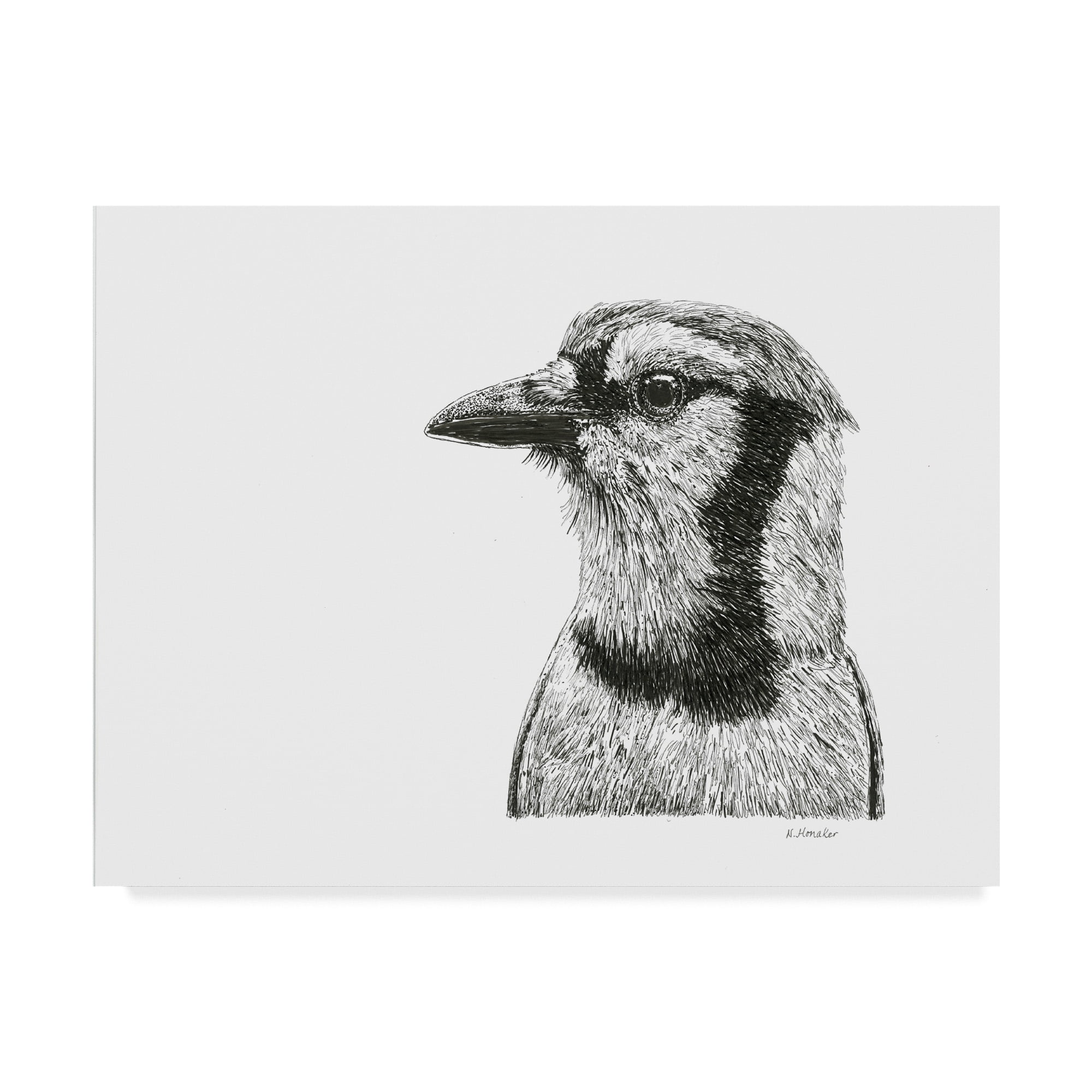 Trademark Fine Art 'Blue Jay Line Art' Canvas Art by Let Your Art Soar ...