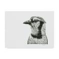 Trademark Fine Art 'Blue Jay Line Art' Canvas Art by Let Your Art Soar ...