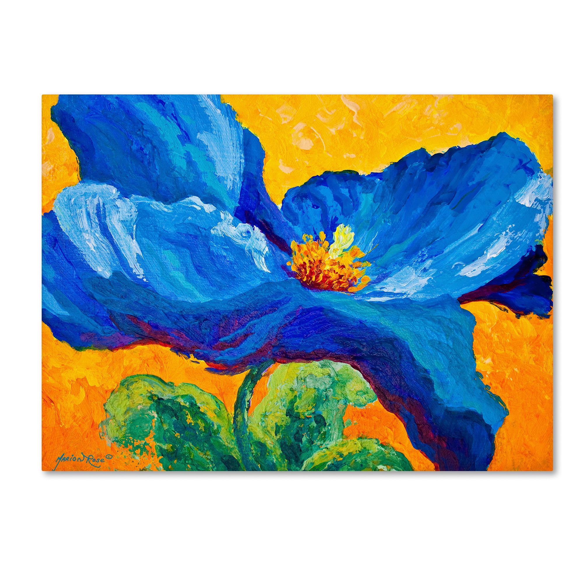 Free Shipping! Trademark Fine Art Blue Poppy 2 Gallery-Wrapped Canvas ...