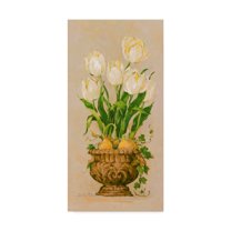 Trademark Fine Art ' Collettes Collection' Canvas Art by Barbara Mock ...