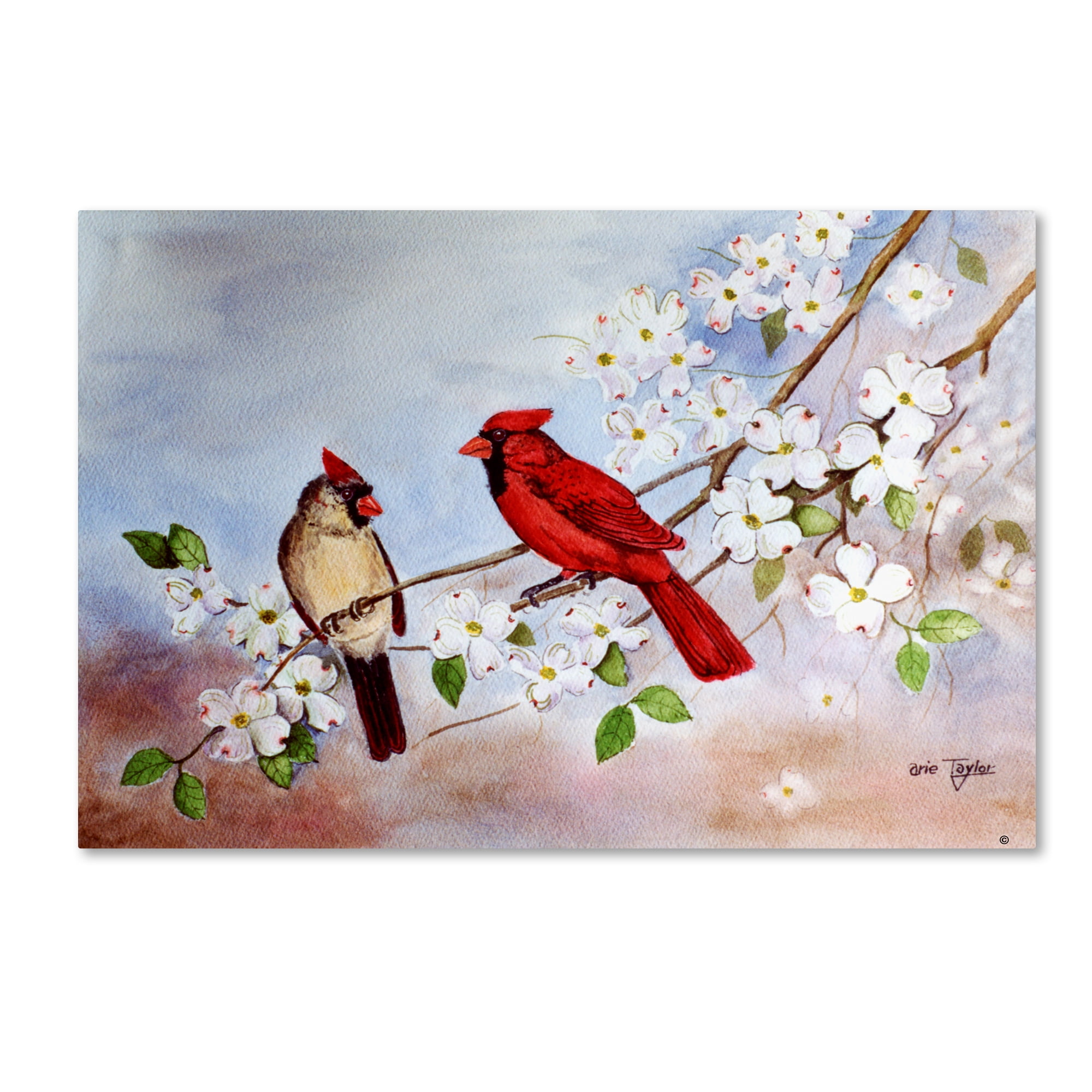 Trademark Fine Art 'Cardinals And Dogwood' Canvas Art by Arie Reinhardt ...