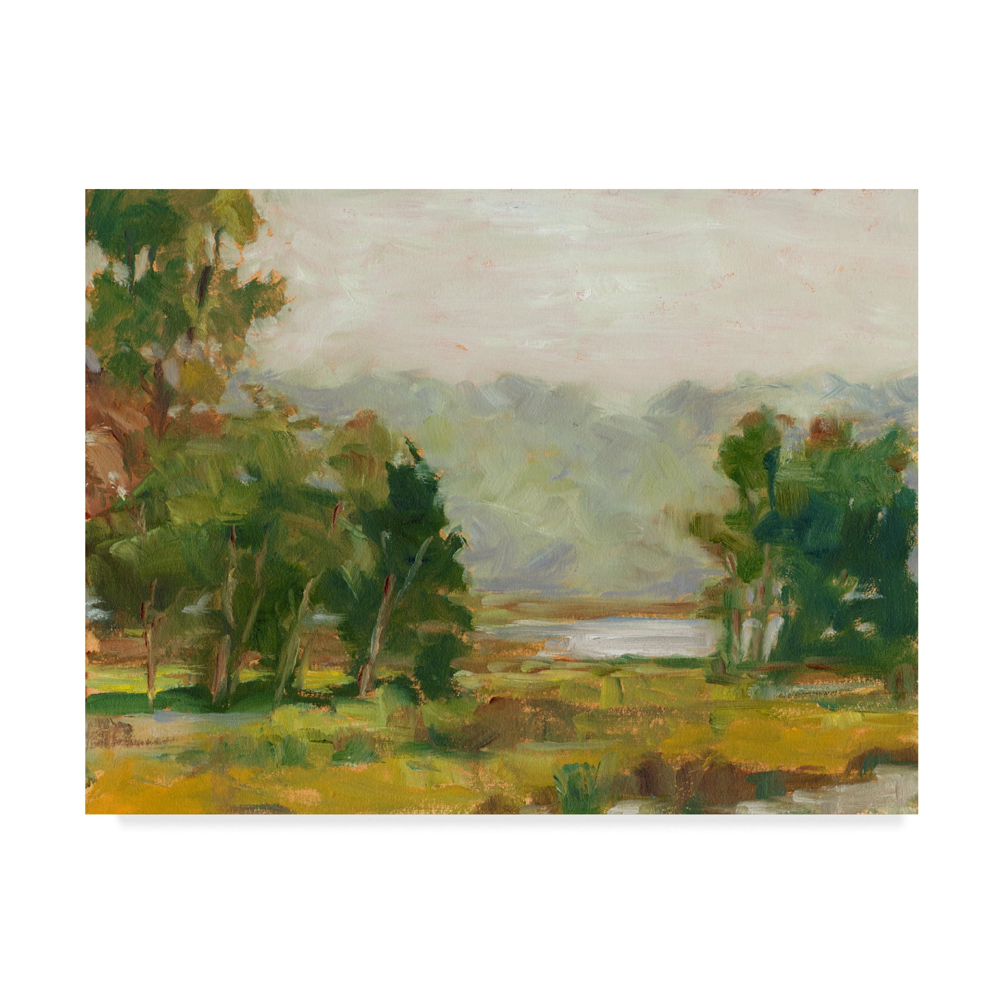 Trademark Fine Art 'Changing Sunlight II' Canvas Art by Ethan Harper ...