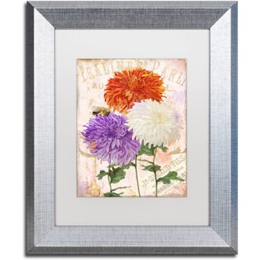 Trademark Fine Art "Toscana II" Canvas Art by Color Bakery White Matte ...