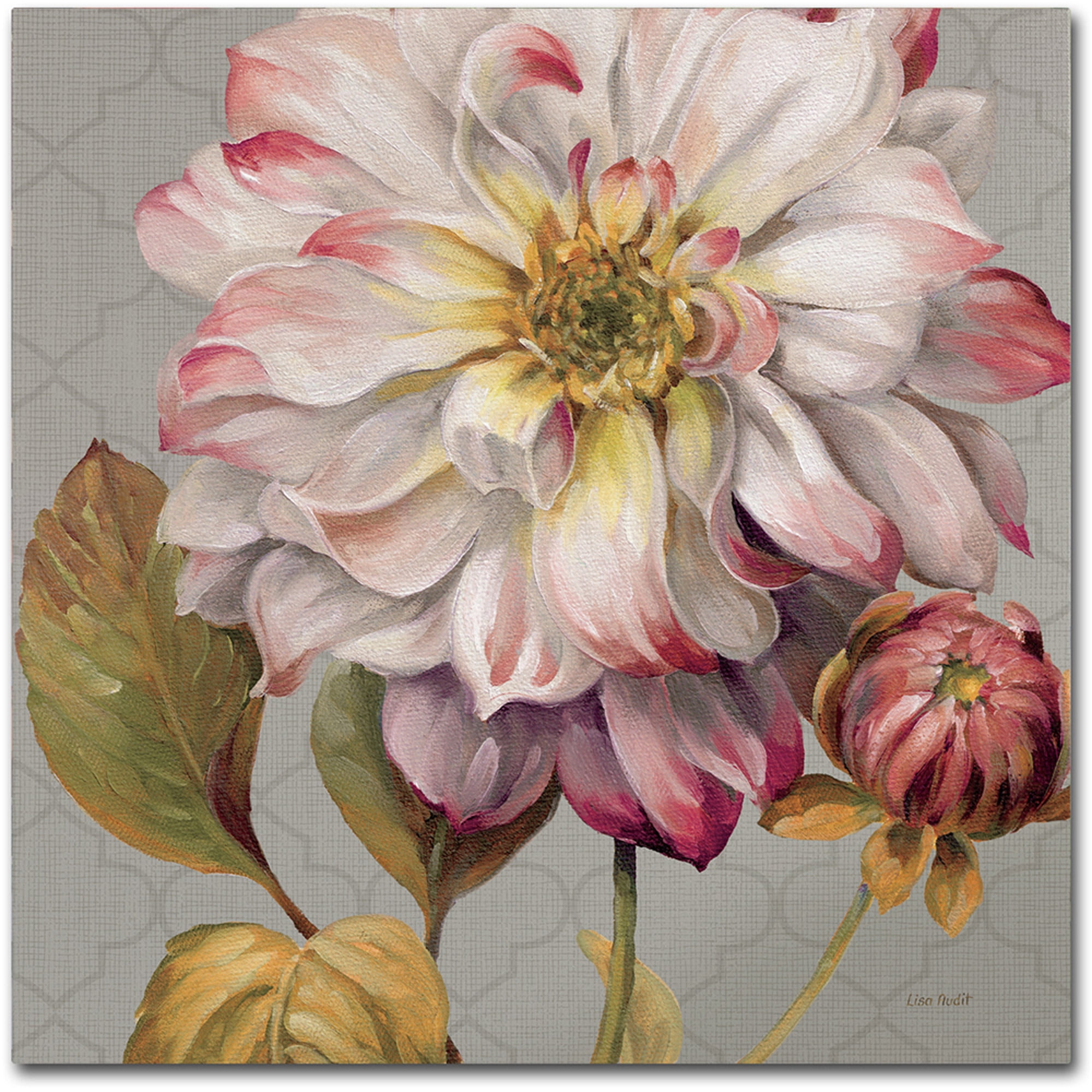 Trademark Fine Art "Classically beautiful II" Canvas Art by Lisa Audit ...